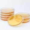90 mm TSA (Tryptic Soy Agar) Settle Plates – 10 plates per pack - Eagle