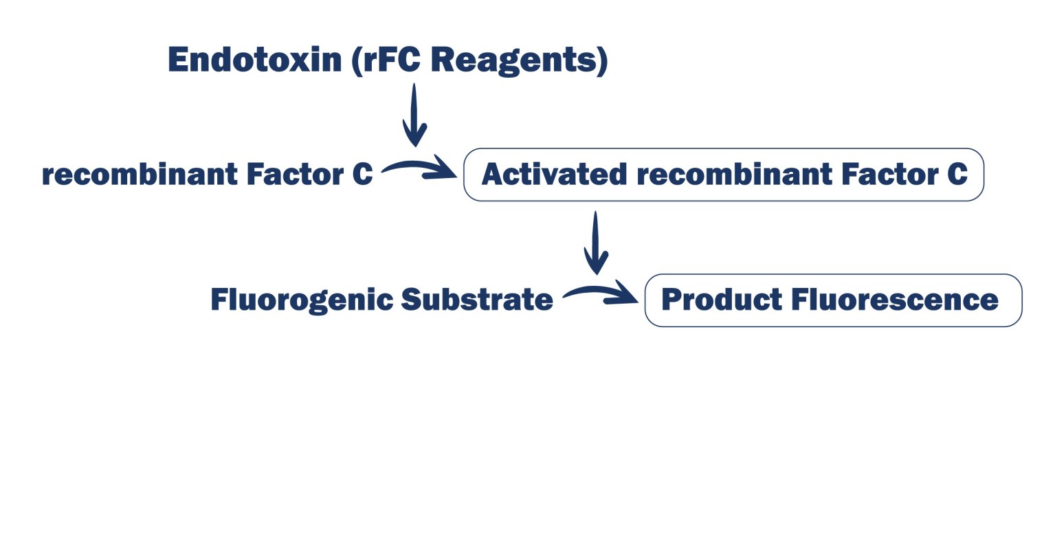Bacterial Endotoxins Test - Eagle