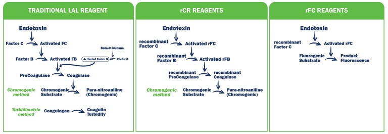 USP 86 Endotoxin Testing: rCR & rFC Transform BET
