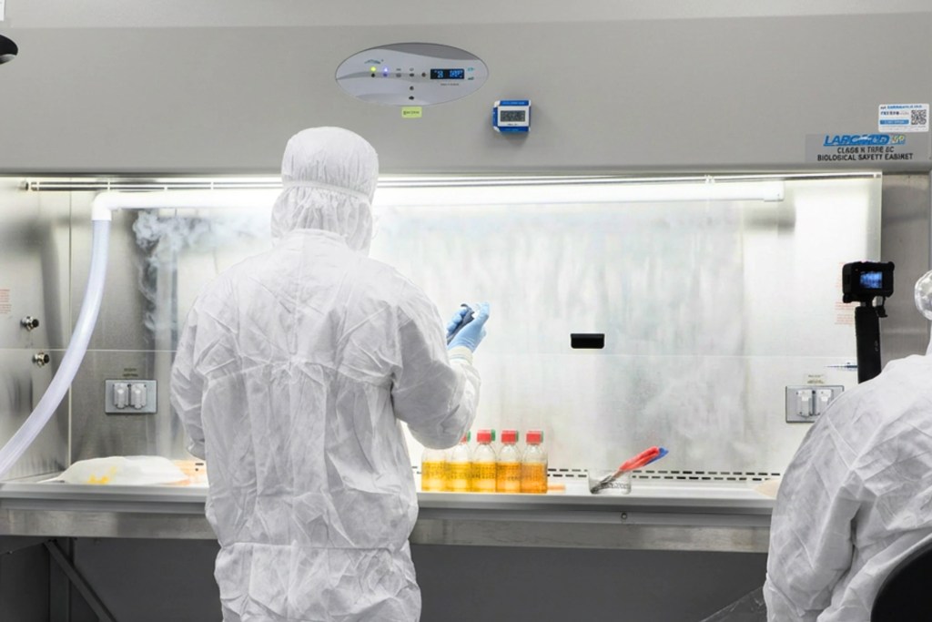 Engineering Services | Eagle Analytical